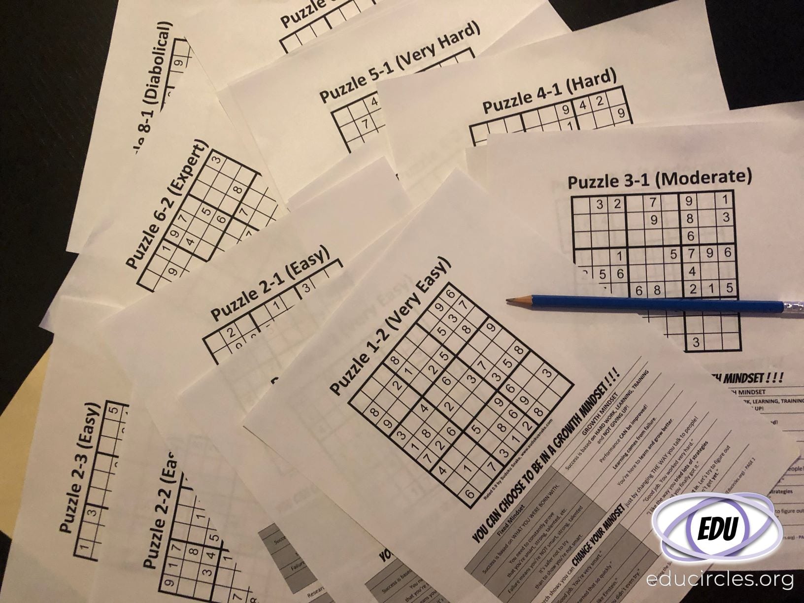 Use Sudoku to teach Growth Mindset and Character Building - Educircles.org